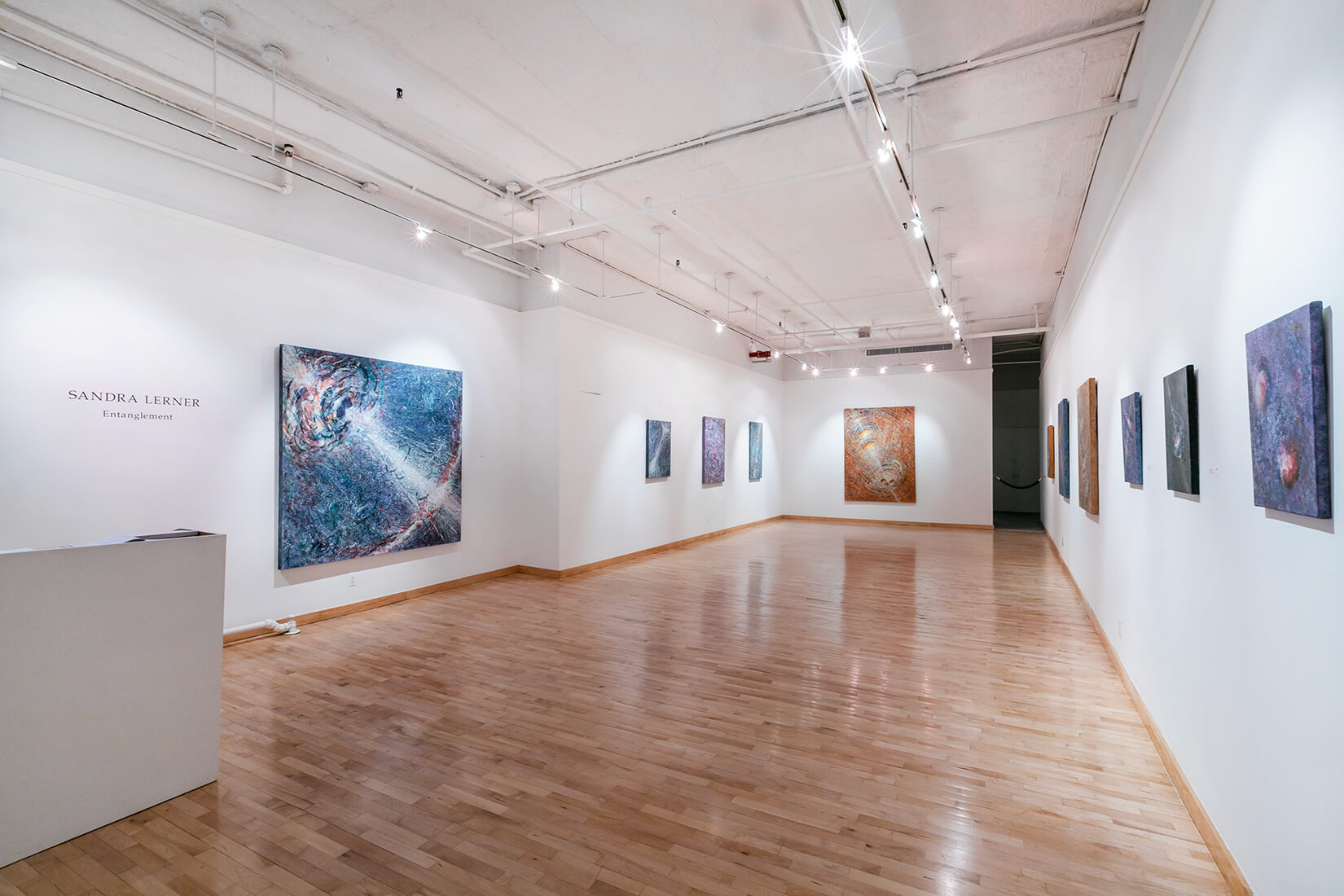 Sandra Lerner - artist, New York City